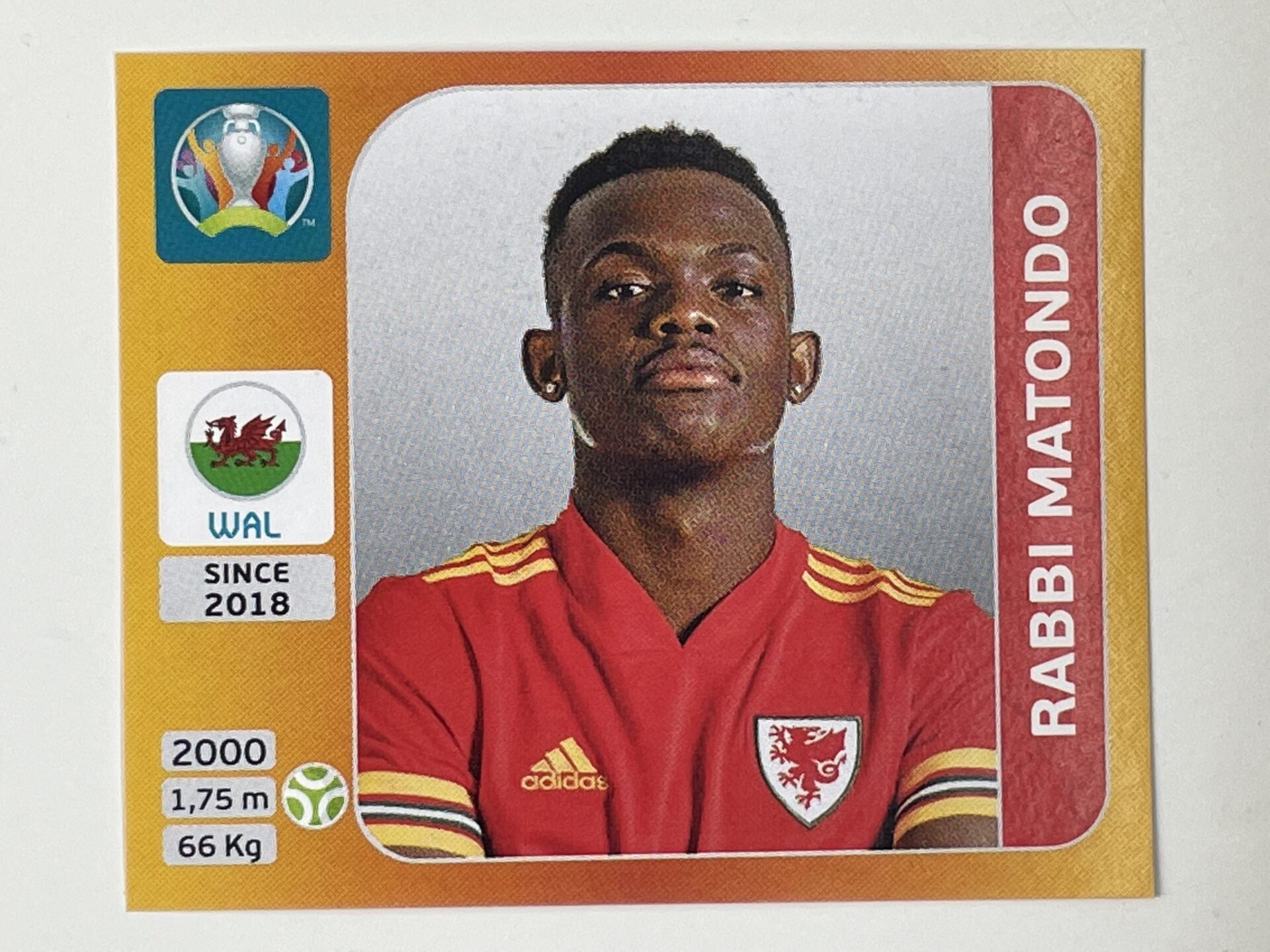 117 Rabbi Matondo (Wales) Euro 2020 Stickers – Solve Collectibles