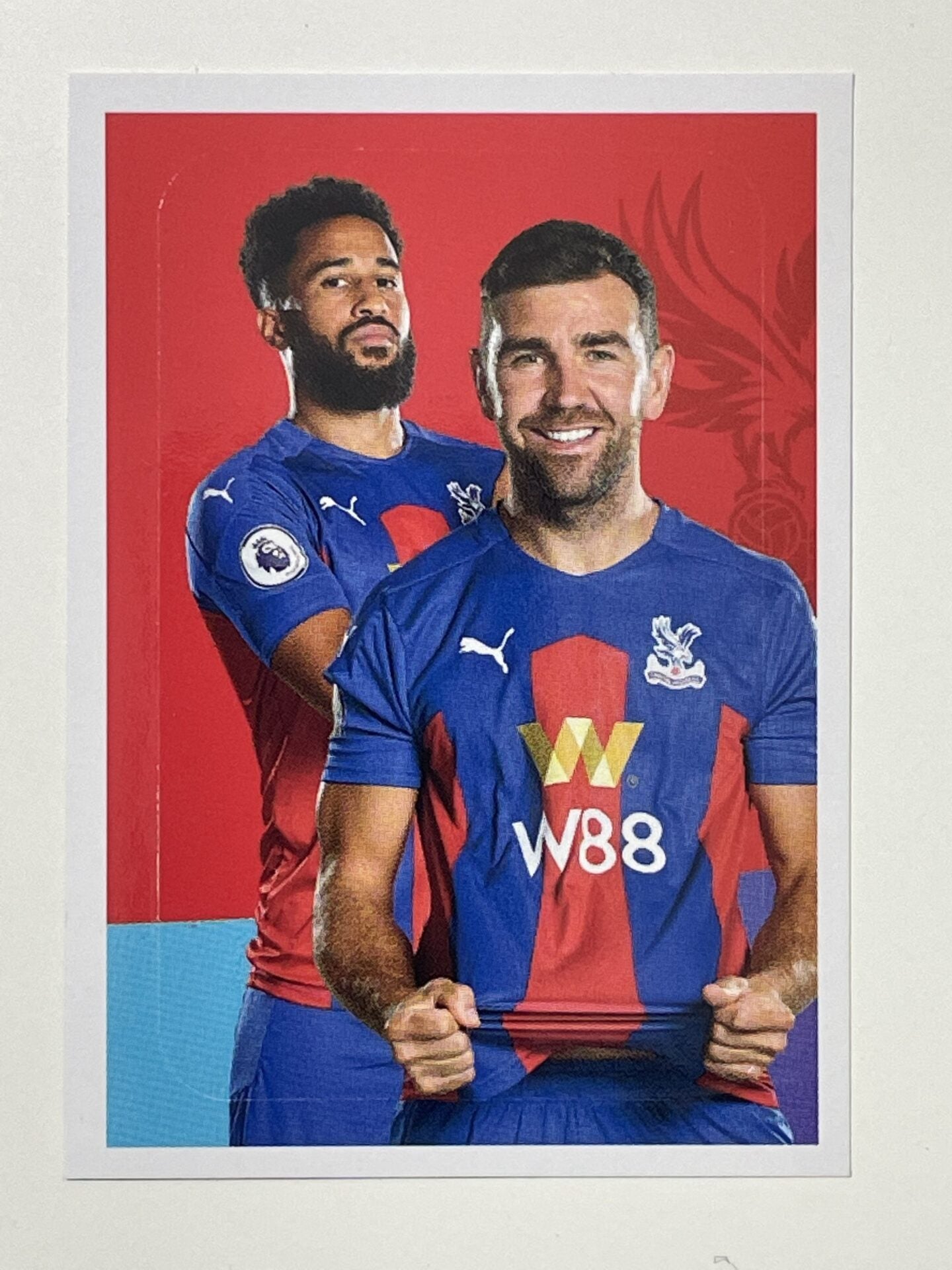 008 Crystal Palace Graphic Premier League 2021 Stickers – Solve ...