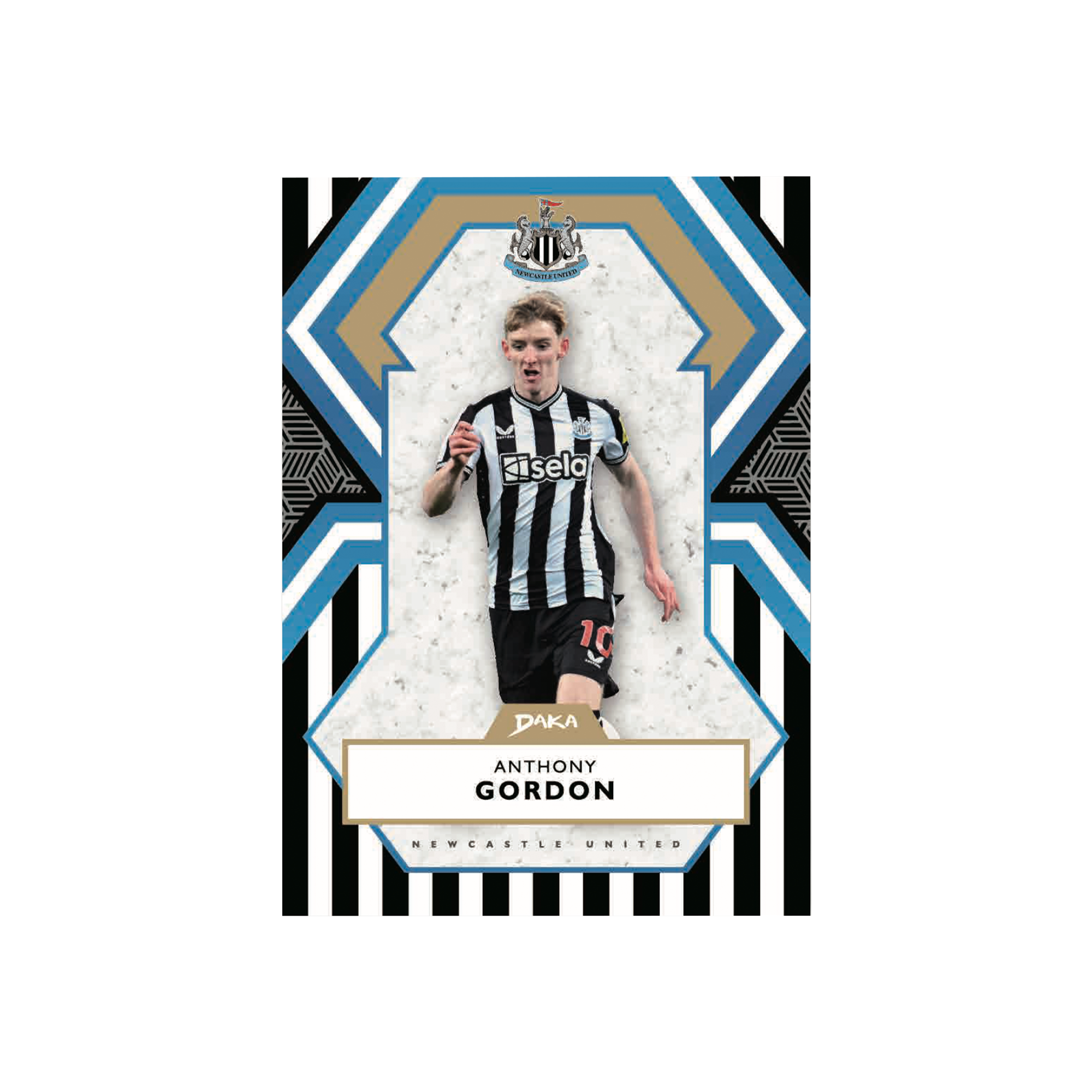 DAKA Collectibles | SolveCollectibles.com – Solve Collectibles