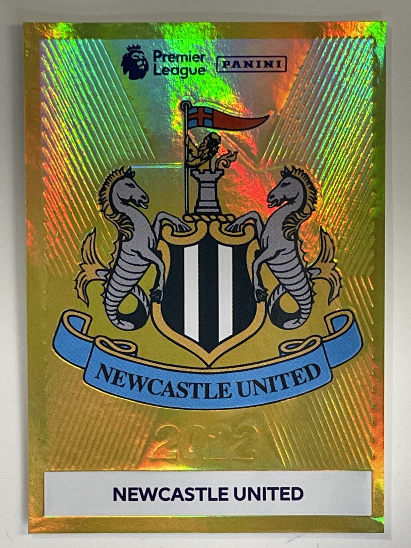 434 Newcastle United Badge Panini Premier League 2022 Sticker – Solve ...